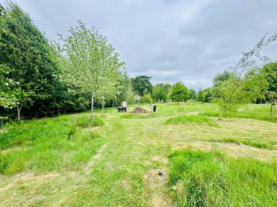 Choosing A Green Burial Provider | Respect Funeral Services